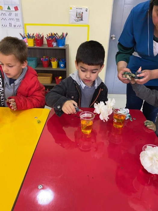 Pre Kinder kiwi – Sciences project 2022 – Orchard College